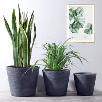 China Clay Pots Outdoor Flower Pots Gray Pot Planters MGO Plant Pots Gardening Pots Fiberglass Planters for sale