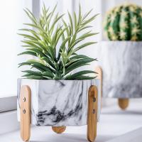 China Marble Finish Cactus Flower Pots Homewares Decorative Items Succulents Plant Pots Cement Table Vases for sale