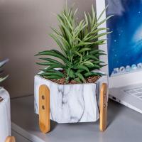 China Marble Finish Cactus Flower Pots Homewares Decorative Items Succulents Plant Pots Cement Table Vases for sale