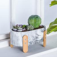 China Succulents Plant Pots Mini Flower Pots Tabletop Flower Pots Marbled Texture Pot Planters with Bamboo Foot Cement Pots for sale