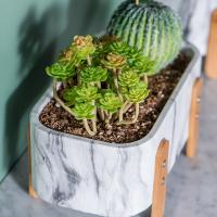 China Succulents Plant Pots Mini Flower Pots Tabletop Flower Pots Marbled Texture Pot Planters with Bamboo Foot Cement Pots for sale