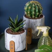 China Cement Flower Pots Mini Succulents Plant Pots Round Planters Tabletop Planters Cactus Planters for sale