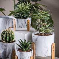 China Cement Flower Pots Mini Succulents Plant Pots Round Planters Tabletop Planters Cactus Planters for sale