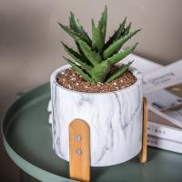 China Mini Succulents Planters Tabletop Pots Clay Flower Pots Marble Flowerpots Cement Pot Planters for sale