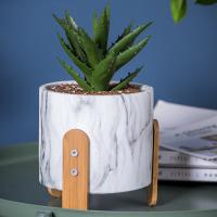 China Round Succulents Pots Cement Flower Pots Mini Pot Planters Tabletop Flowerpots Decorative Pots for sale