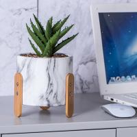 China Cactus Planters Mini Pots Clay Flower Pots Cement Pot Planter Set Succulents Planters Marble Pots for sale