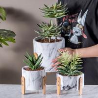 China Cactus Planters Mini Pots Clay Flower Pots Cement Pot Planter Set Succulents Planters Marble Pots for sale