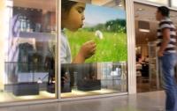 China Holographic Projection Foil Transparent Rear Projection Screen Film for sale