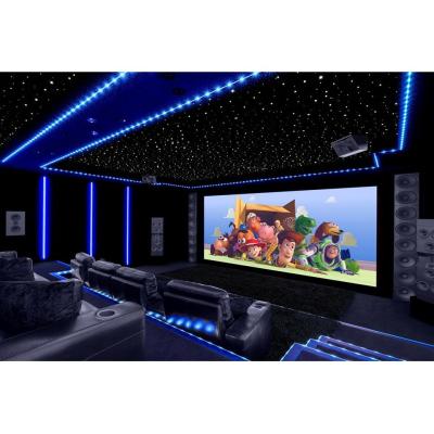 China Hotel Decoration Starry Night Ceiling Panels Starlite Star Ceiling Panels for sale