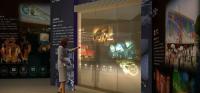 China Clear Holographic Rear Projection Screen Film Shop Window Projection 30m Length for sale