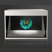 China 22 Inch 3D Hologram Showcase Device Is To Use In Shops Shows for sale