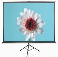China Floor Standing Portable Tripod Projection Screens Stand Mobile style for sale