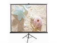 China Floor Standing Portable Tripod Projection Screens Stand Mobile style for sale