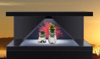 China 1920X1080 Resolution 3D Holographic Projection  with Tempered Hologram Glass and Plug and Play Setup for sale