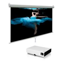 China 120 Inch Self Lock Projector Screen For Home School Matte White for sale
