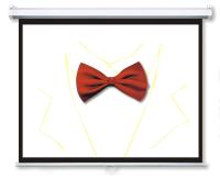 China 120 Inch Self Lock Projector Screen For Home School Matte White for sale