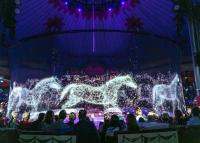 China Polyamide 3D Holographic Projection Scrim Holo Gauze for Performance for sale