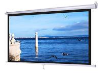 China Matte White 100 Inch Projection Screen 4:3 Manual Projector Screen Pull Down Style for sale