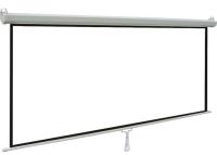 China Wall Mounted Manual Projection Screens 60