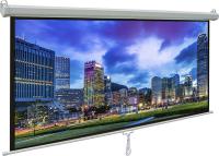 China Wall Mounted Manual Projection Screens 60