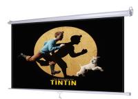 China 16:9 60 Inch Manual Projector Screens For Office School Classroom for sale