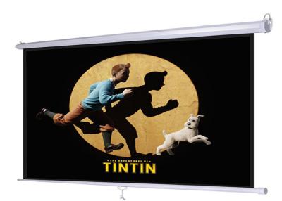 China 16:9 60 Inch Manual Projector Screens For Office School Classroom for sale