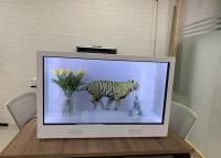 China 65 Inch 3D Hologram Display Transparent Showcases Video Holobox for sale