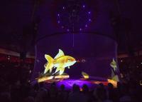 China Good Quality 3D Hologram Gauze 3D Hologram Holographic Mesh Net For The Stage 3D Holo Mesh Vivid for sale