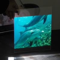 China 3D Transparent Holographic Projection Film Gray White Black Rear Hologram Window Foil for sale