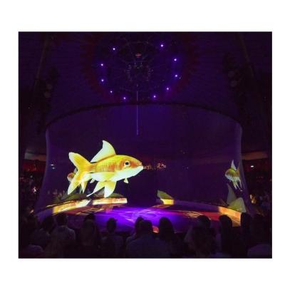 China Fireproof B2 Holo Gauze Holographic Mesh Screen For 3D Projection for sale