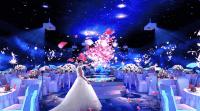 China Large Projector Screen Hologram Gauze White Grey Black Hologram Mesh Screen for sale