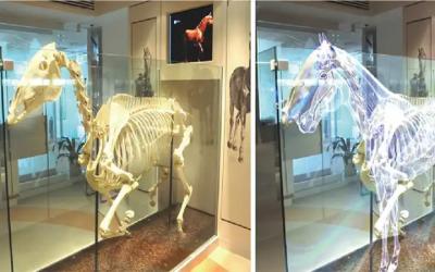 China 92% Clear 3D Transparent Rear Projection Film Advertising Holographic Glass Film for sale