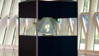 China 360 Degree 3D Pyramid Hologram Display Showcase / Clear 3D Hologram Pyramid Holobox Watch Glass for sale