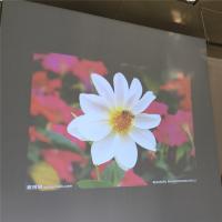 China 4K Front Projection Film 3D Holographic Display For Meeting Room / Auditoriums for sale