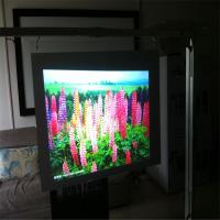 China High Contrast 3D Holographic Display Gray Rear Projection Film For Window Advertising for sale