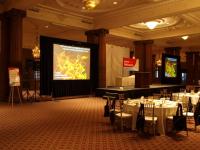 China Portable Matte White Fast Fold Screens Front and Rear Projection For Event for sale