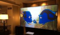China 16/9 Curved Projection Screen 150