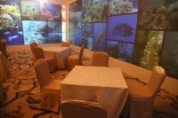 China Custom Size Projection Screens 4.5 x 50m Economic Fabric Black Border for sale
