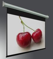 China Durable manual pull down projection screen with Self-lock device for sale