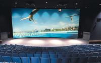 China High definition 200'' 250''  Curved Projection Screen for HD Cinema Simulator System for sale