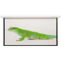 China Custom Size Formatcinema Projector Screen With Remote Controller for sale