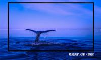 China 100 Inch Anti Light Projection Fixed Frame Screen With Ultra Short Throw Projector for sale