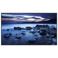 China Wall Mounted Fixed Frame Screen , 100 Inch Fixed Projector Screen Wide Viewing Angle for sale