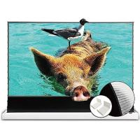China Home Theater 120 Inch UST Projection Screen Motorized Floor Rising Projector Screen ALR CBSP for sale