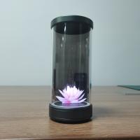 China 5inch 360 Holographic Display Hologram Cylinder With Picture Format PNG Video Format MP4 for sale