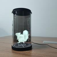 China Holographic 3D Technology Display 5.5 10.1 21.5 Inch Hologram Cylinder With Ai Interactive for sale