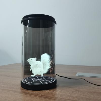 China Holographic 3D Technology Display 5.5 10.1 21.5 Inch Hologram Cylinder With Ai Interactive for sale
