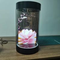 China 21.5inch Hologram Cylinder Real Time Holograms Life Size 3D Holographic Display Holotube for sale