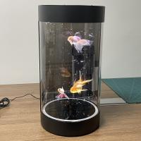 China 21.5inch Hologram Cylinder Real Time Holograms Life Size 3D Holographic Display Holotube for sale