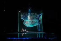 China White Grey 3d Holographic Film Net Screen Up To 10x50m Front Rear Projection for sale
